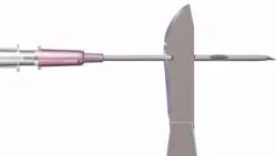 How to Perform an Abdominocentesis on a Dog: Step-by-Step