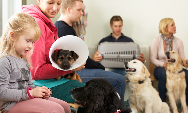 How to Handle Chronically Tardy Veterinary Clients: Advice