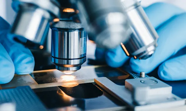 Causes of Monocytosis in Dogs & Cats | Clinician's Brief