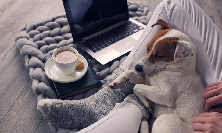 Podcast: Meet Our New Host: Dr. Beth Molleson