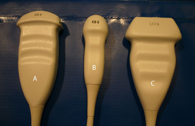Ultrasonography in Practice: Practical Considerations | Clinician's Brief