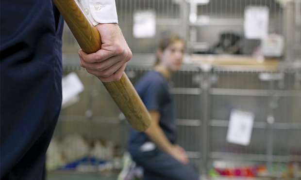 Podcast: Confronting Violence in Veterinary Medicine