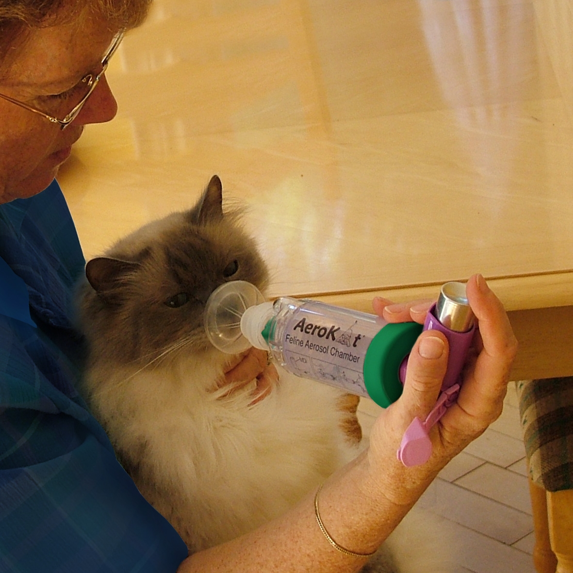 Inhaled Corticosteroids & Airway Disease in Cats & Dogs