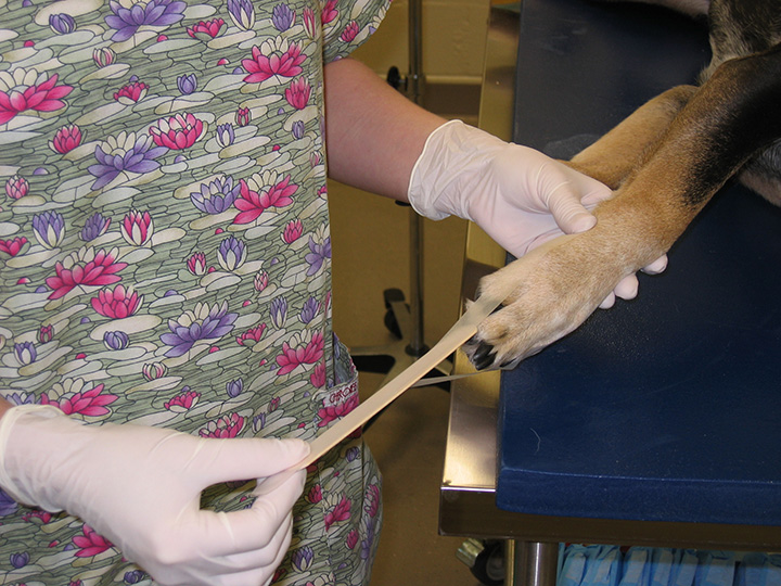 Effective Casting Techniques | Clinician's Brief