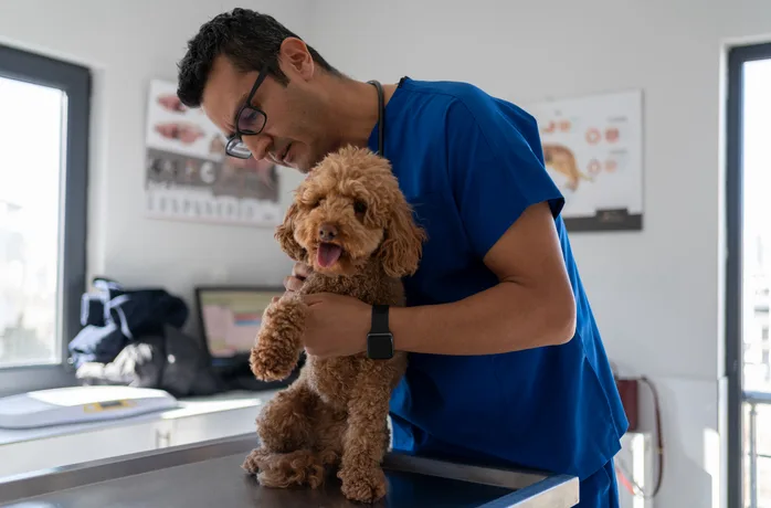 Veterinary Orthopedics | Clinician's Brief