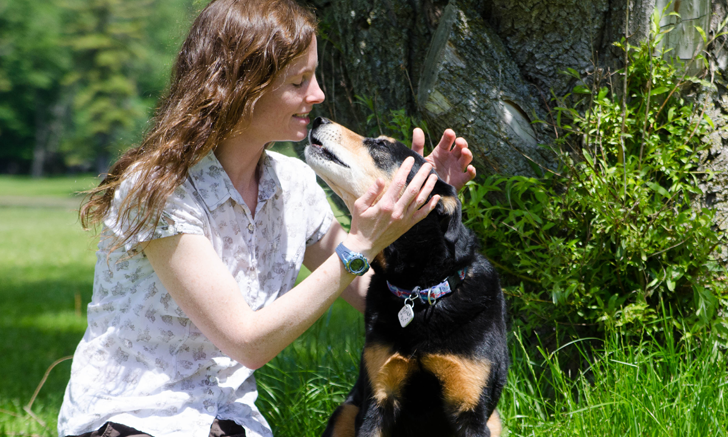 Nonprofit Provides Hope for Dogs with Cancer | [site:name]