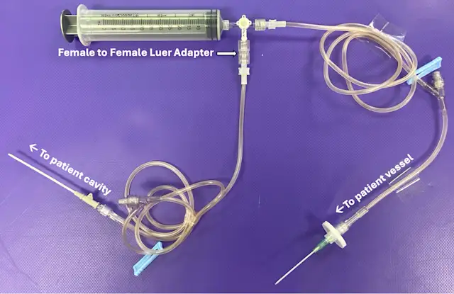 Performing Autotransfusion: Step-by-Step Veterinary Guide