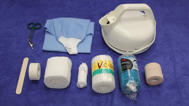 Splint Application | Clinician's Brief