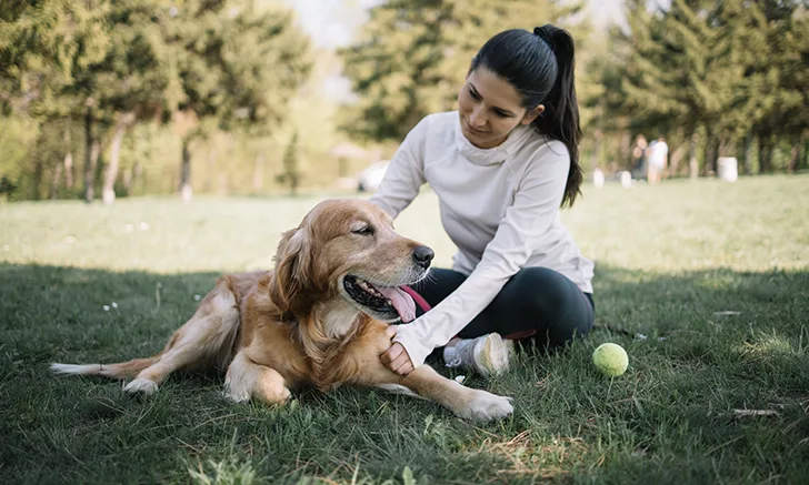 Zenalpha®: Building on Our Knowledge to Understand a Novel Combination