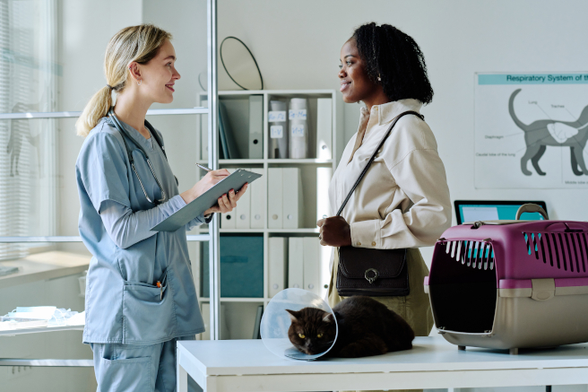 How Pet Owners View Veterinary Antimicrobial Use | Clinician's Brief