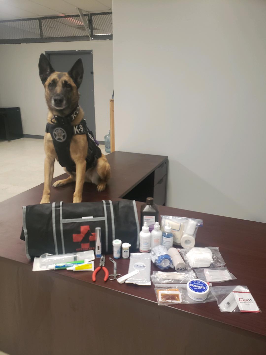 Kits for K9’s: Life-Saving Support for Life-Saving Dogs | Clinician's Brief