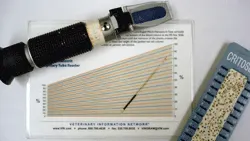 Blood Transfusion Basics