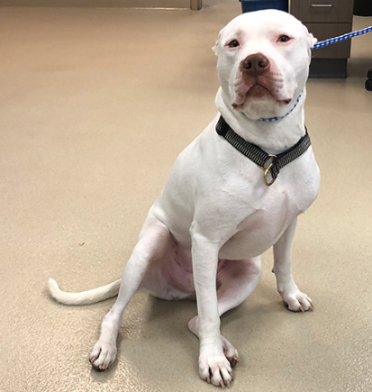 Clinical Image: What Condition Is Causing This Patient to Have a ...