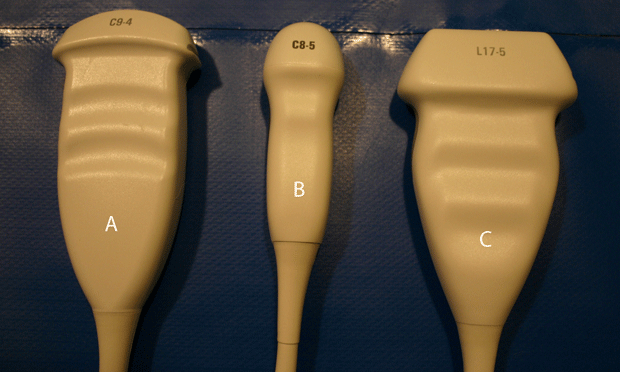 Ultrasonography in Practice: Practical Considerations