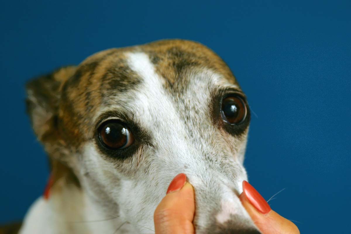 Step-by-Step: The Neurologic Examination | Clinician's Brief