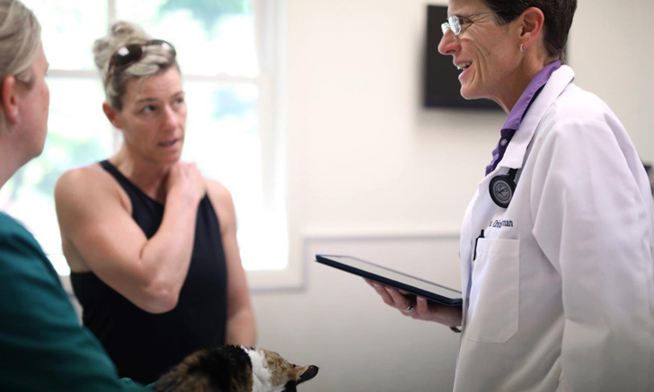 Creating an Effective Veterinary Exam Room: Do's, Don'ts