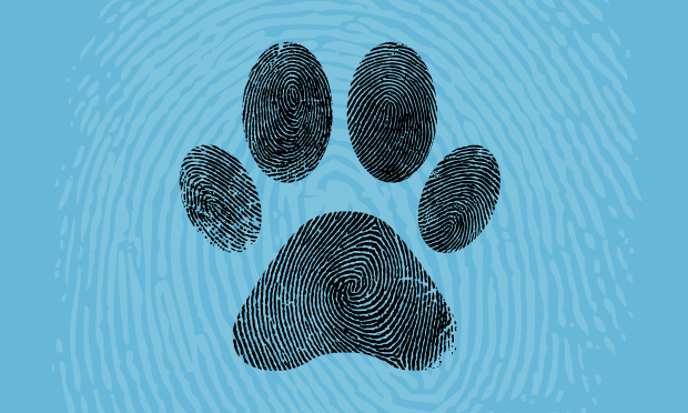 Career Opportunities in Veterinary Forensic Medicine