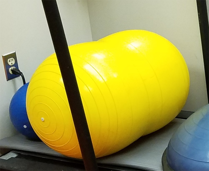 Rehabilitation for Nonambulatory, Hospitalized Dogs & Cats | Clinician ...