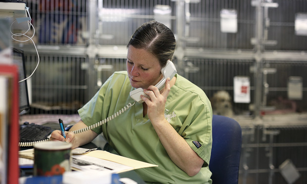 The Art of Telephone Triage