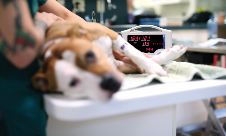 Blood Pressure Measurement