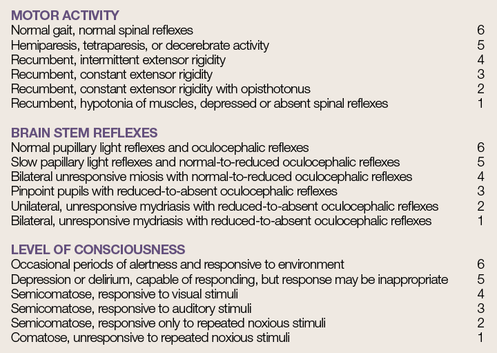Clinical Suite: Traumatic Brain Injury | Clinician's Brief