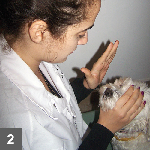 Ophthalmic Examination Made Simple | Clinician's Brief