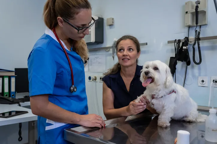 Client Relationships: Communicating with Pet Owners