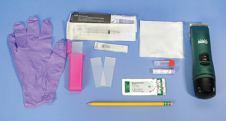 Cytology from Fine-Needle Aspirates | Clinician's Brief