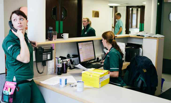 Is There a Shortage of Veterinarians? | Clinician's Brief