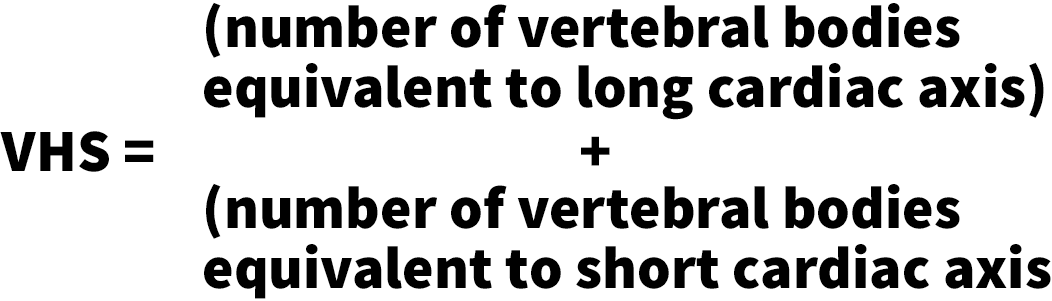 Clinical Cardiology History & Diagnostics | Clinician's Brief