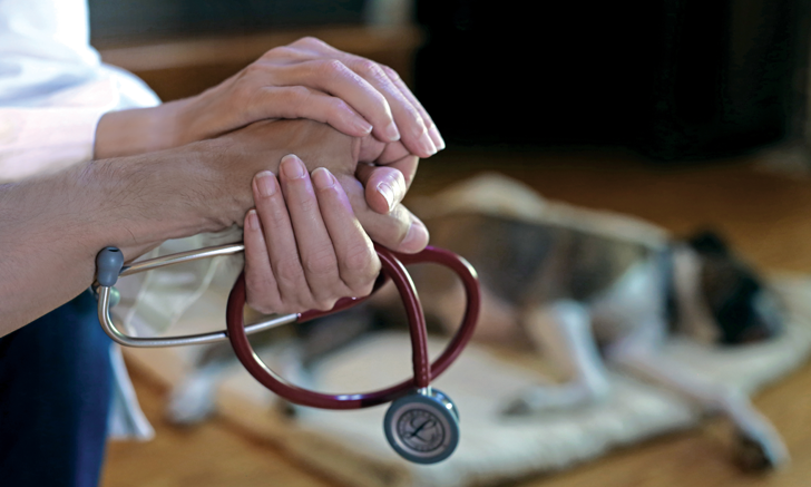 Providing Comfort Takes More than a Pretty Room