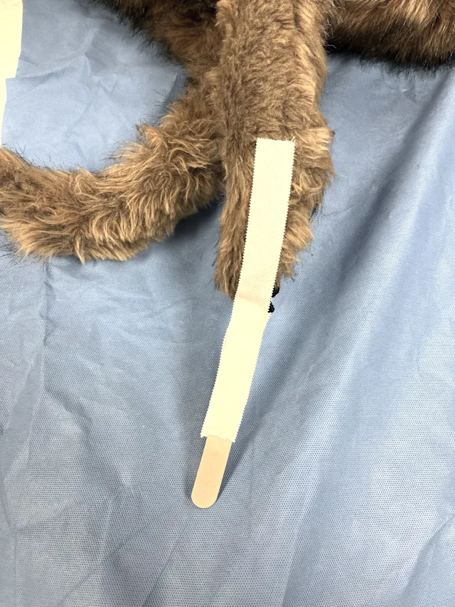 Application of a Modified Robert Jones Bandage in Dogs & Cats