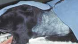 How To Place An Esophagostomy Tube | Clinician's Brief