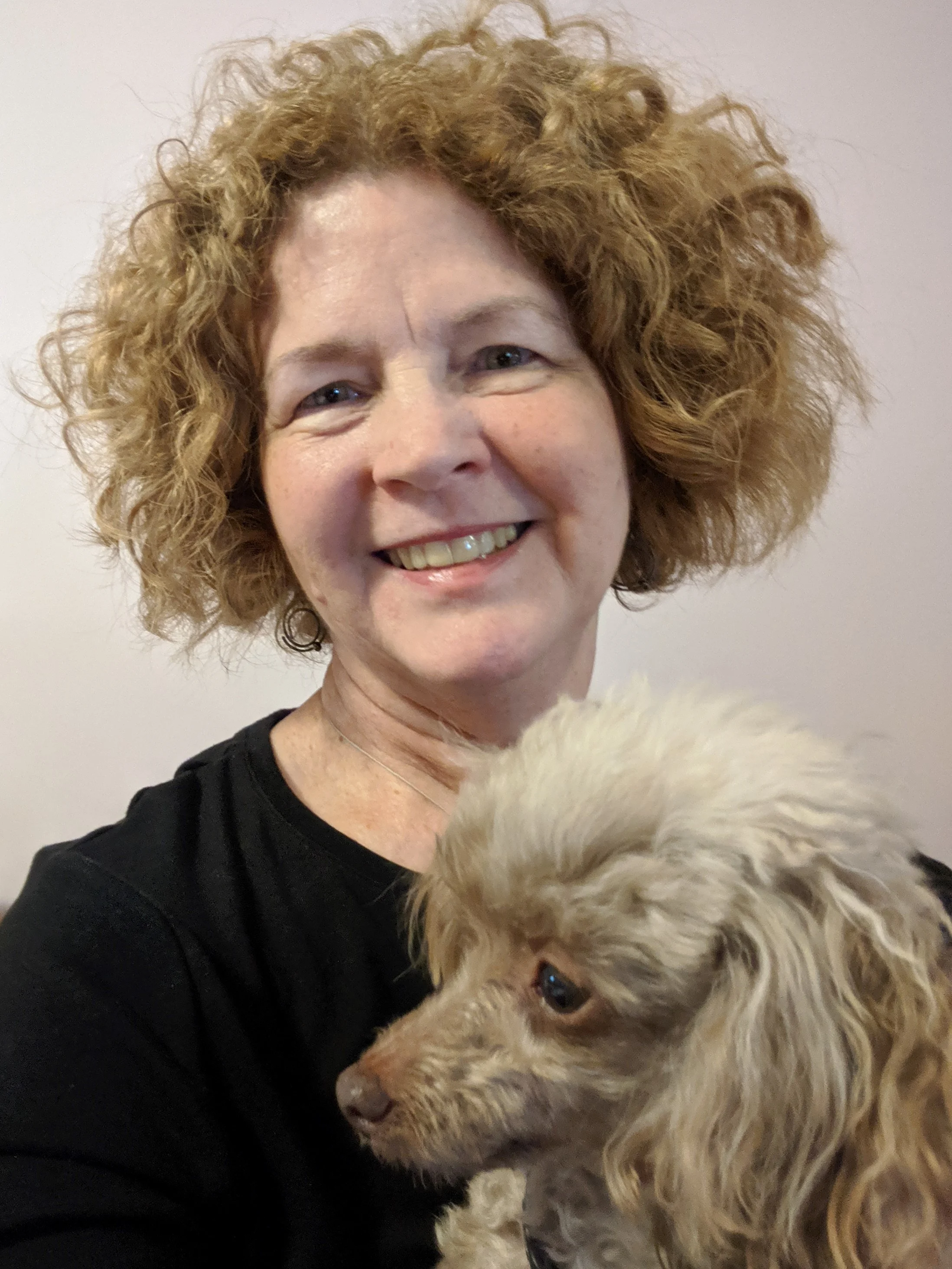 Trusted daily essentials for today's veterinarians | Clinician's Brief