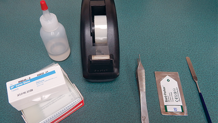 Skin Scraping for External Parasites | Clinician's Brief