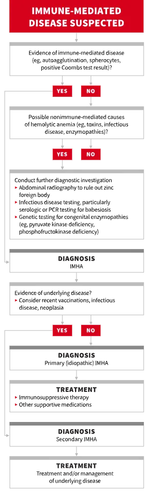 Causes of Icterus (Jaundice) in Dogs | [site:name]