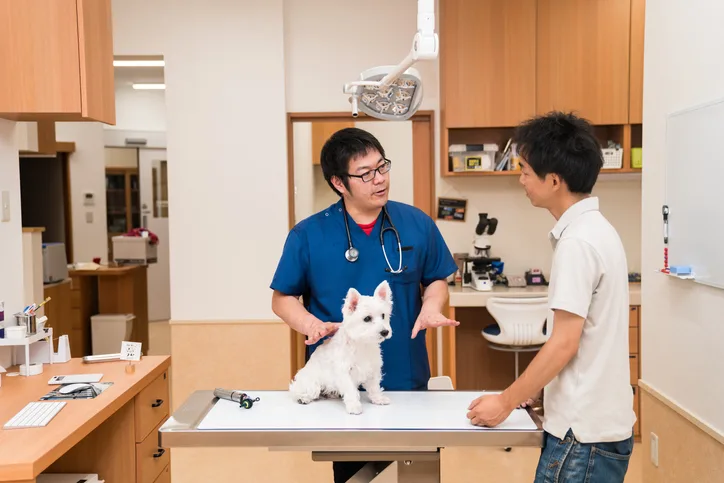 Client Relationships: Communicating with Pet Owners