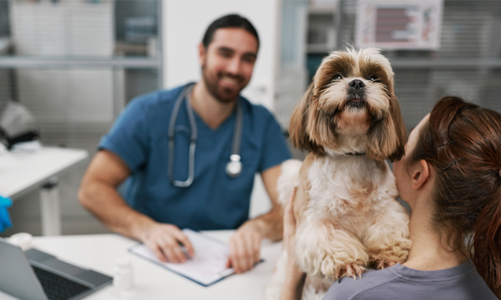 Podcast: How to Handle Doctor Loyalty in Veterinary Practices