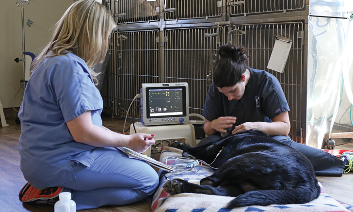 Obtaining a Diagnostic Electrocardiogram