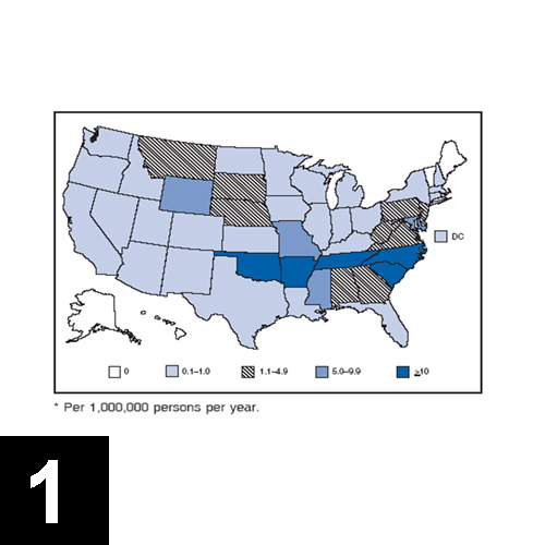Spotted Fever Rickettsiosis in Dogs: An Update | Clinician's Brief