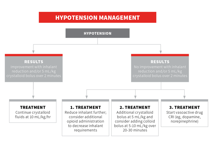 Top 5 Anesthetic Complications | Clinician's Brief