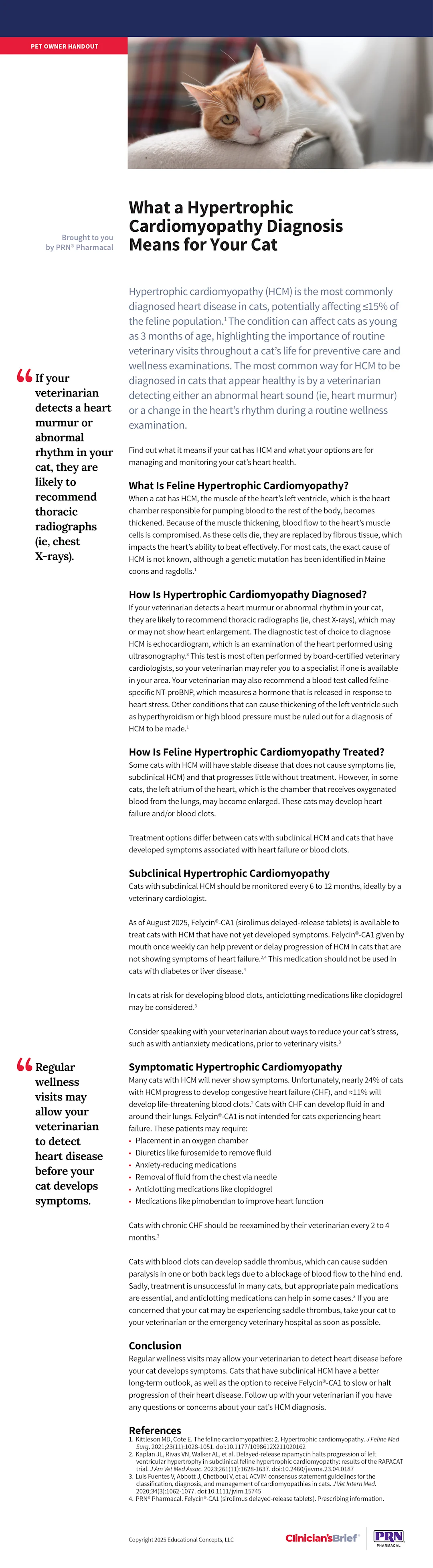 Pet Owner Handout: What a Hypertrophic Cardiomyopathy Diagnosis Means ...