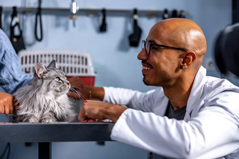 Trusted daily essentials for today's veterinarians | Clinician's Brief