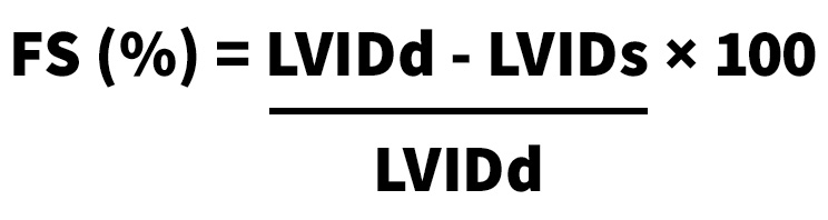 Echocardiography in General Practice: 4 Views to Master | Clinician's Brief