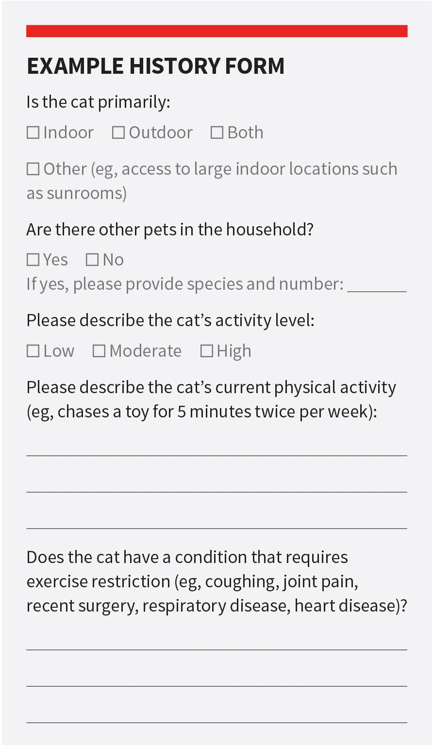 Physical Activity Programs for Cats | Clinician's Brief