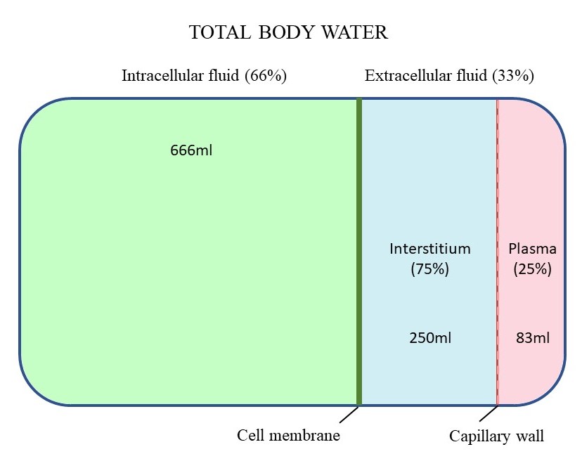 Clinical Image: Fluid Deficit
