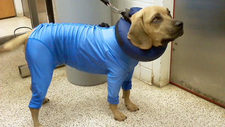 Maintaining the Drain | Clinician's Brief