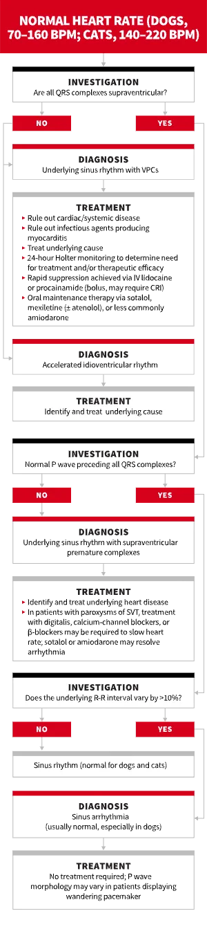 Common Cardiac Arrhythmias