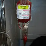 Blood Transfusion Basics