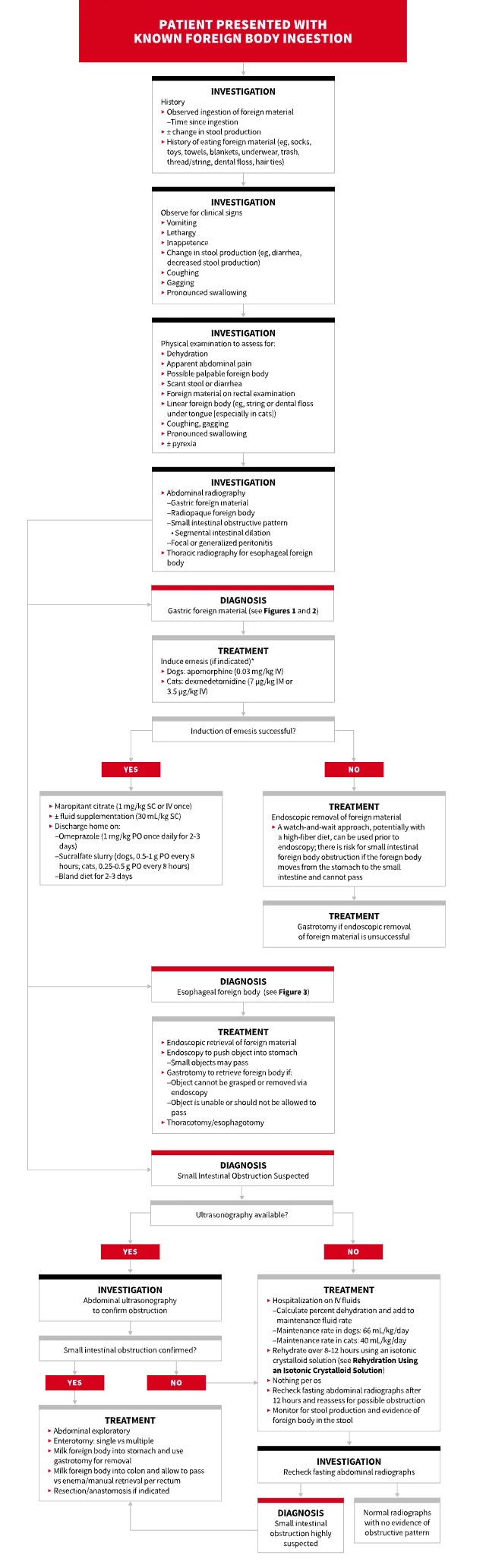 Known Foreign Body Ingestion